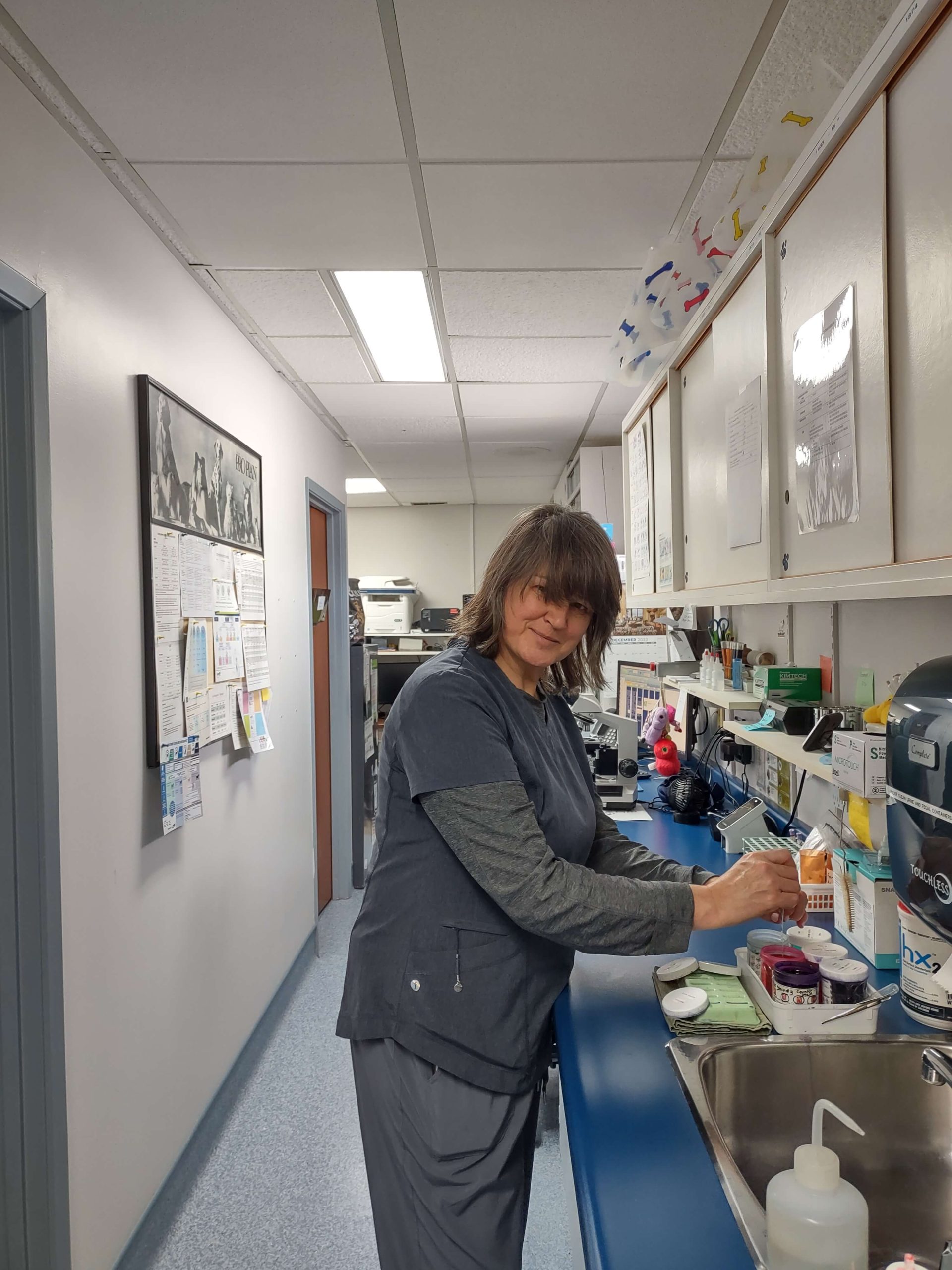 About | Selkirk Animal Hospital